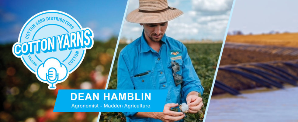 The Importance of First Irrigation - Cotton Seed Distributors