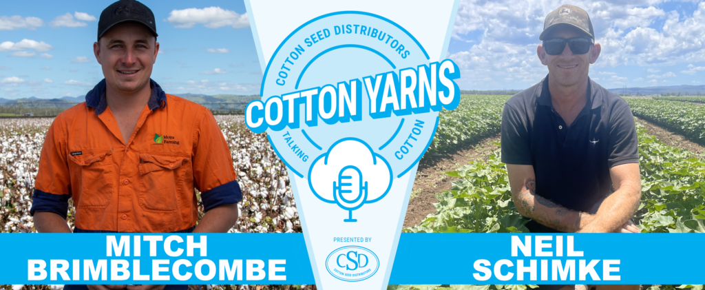 Cotton in the Lockyer Valley - Cotton Seed Distributors