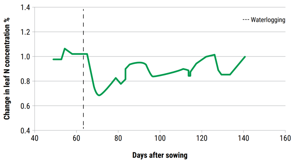 Waterlogging and Flood Damage in Cotton - Cotton Seed Distributors