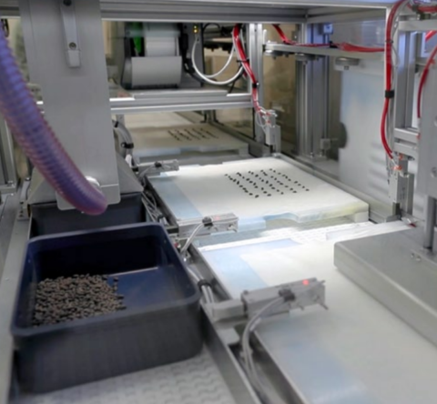 Seed Production and Quality Assurance - Cotton Seed Distributors